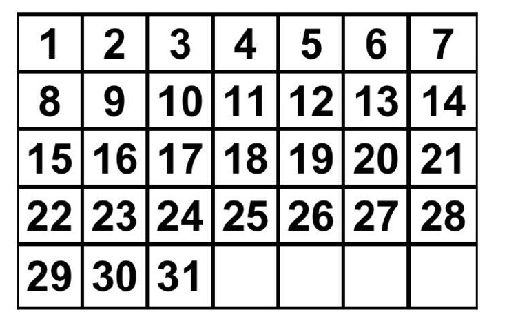 Numeros 1-31 | PDF