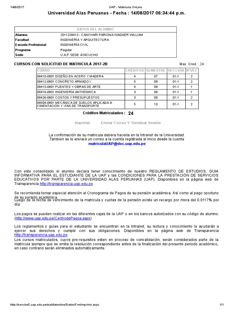 UAP Matricula OnLine | PDF | Ingeniería | Internet