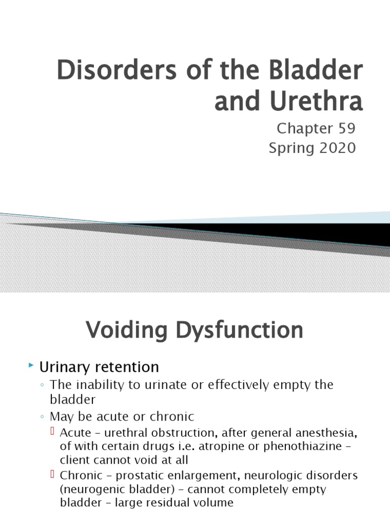 Disorders of The Bladder and Urethra: Spring 2020 | PDF | Urinary ...