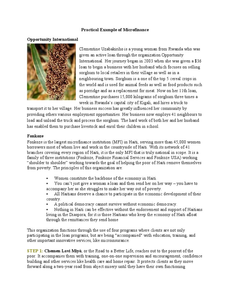 Practical Example of Microfinance | PDF | Microfinance | Loans