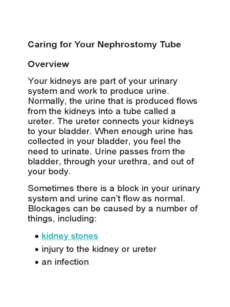 Caring For Your Nephrostomy Tube: Kidney Stones | PDF | Urinary System ...