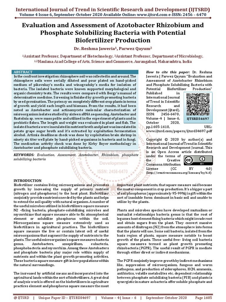 Evaluation and Assessment of Azotobacter Rhizobium and Phosphate ...