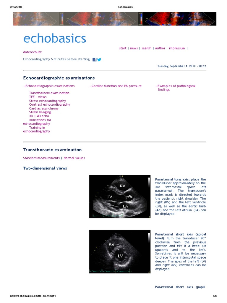 Echobasics | PDF | Heart Valve | Heart