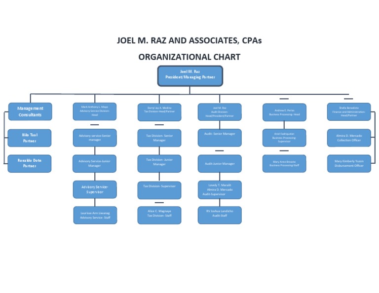 Joel M. Raz and Associates, Cpas Organizational Chart: Management ...