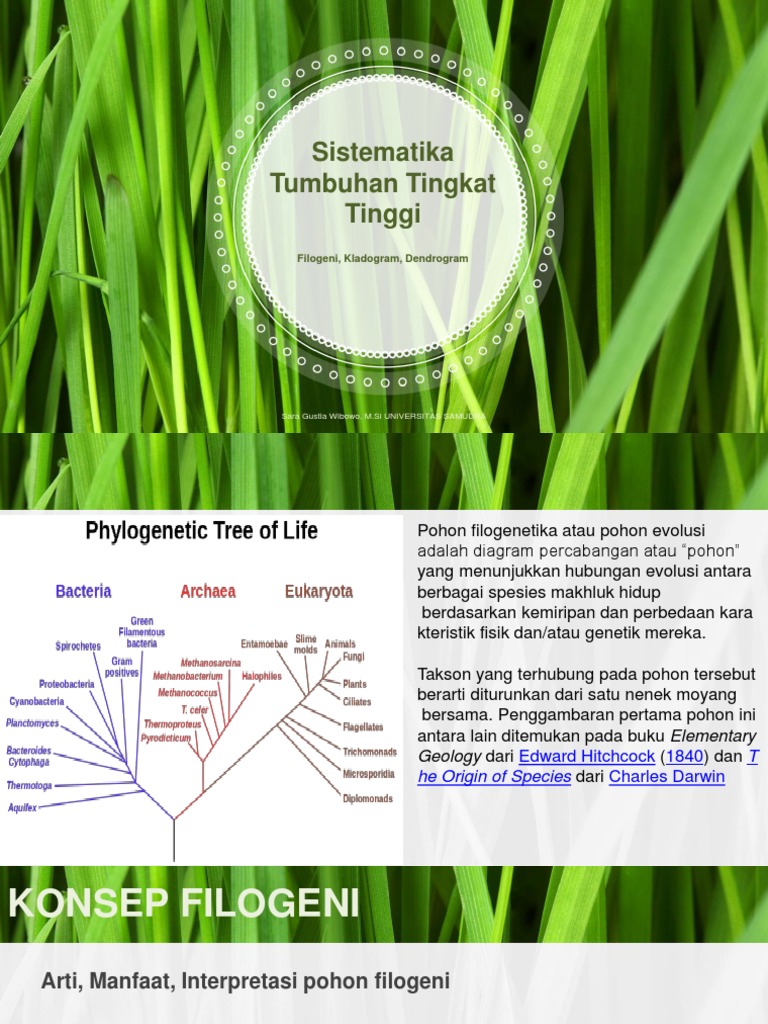 Pohon Filogenetik dan Metode Analisis | PDF | Ilmu Sosial