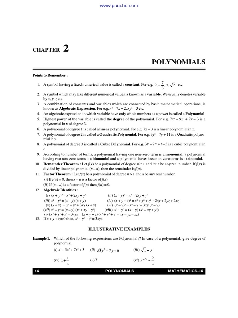 Polynomials: Points To Remember | PDF | Polynomial | Variable (Mathematics)