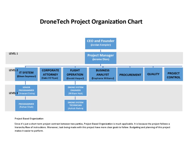 Dronetech Project Organization Chart: Ceo and Founder | PDF