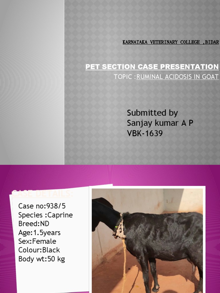 Submitted by Sanjay Kumar A P VBK-1639: Pet Section Case Presentation Topic:Ruminal Acidosis in ...