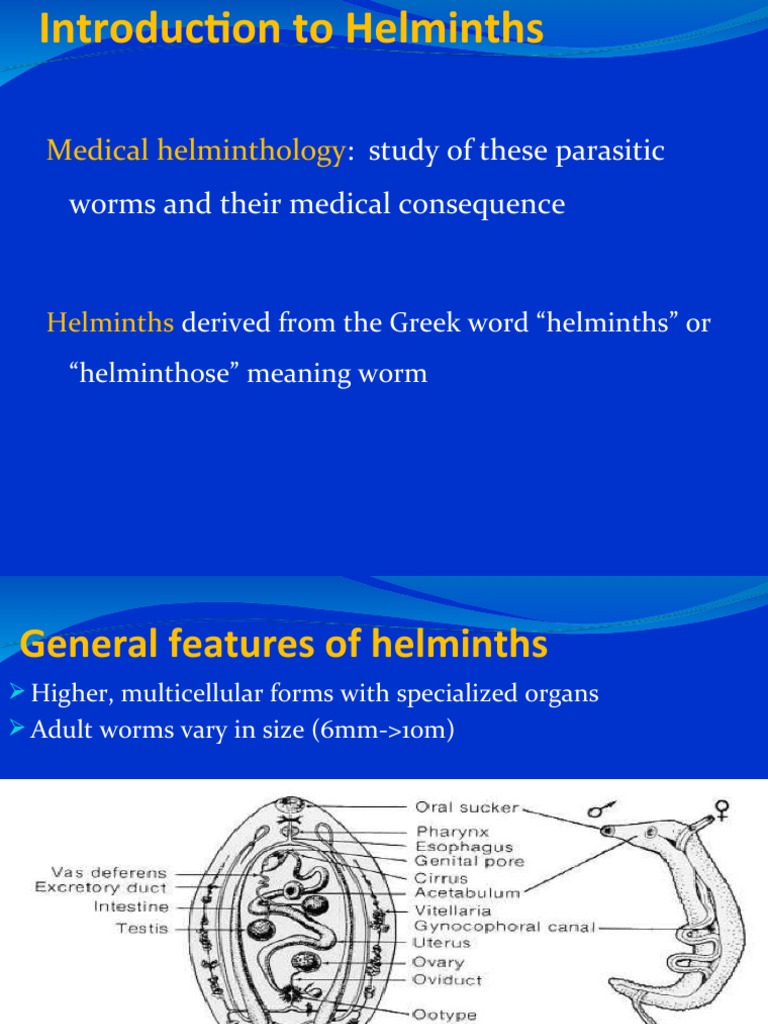 Helminths & Ascaris 2 | PDF | Parasitology | Medical Specialties