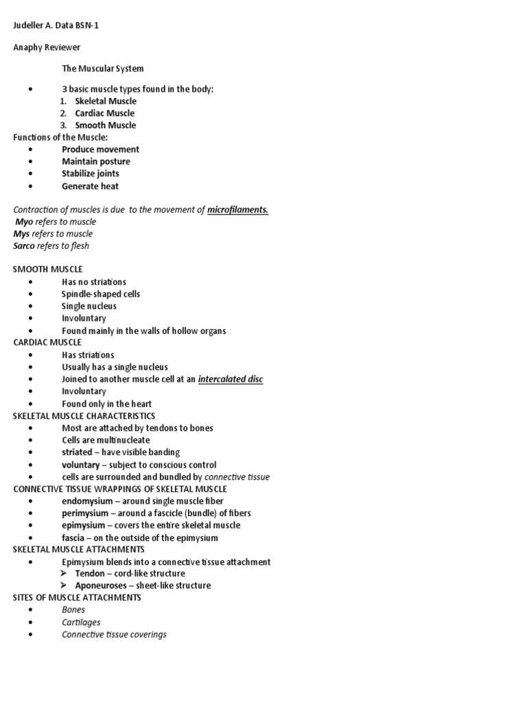 Muscular System Reviewer | PDF | Myocyte | Muscle Contraction