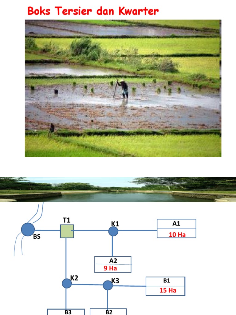 A-4.Box Tersier Dan Kwarter | PDF