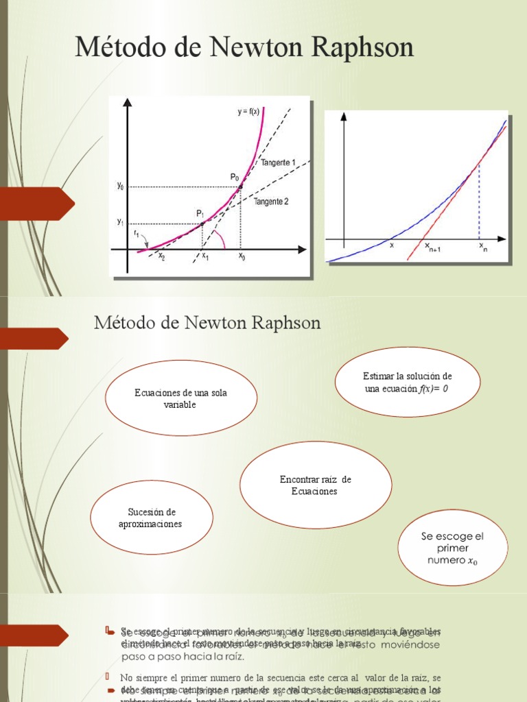 Método de Newton Raphson | PDF | Iteración | Ecuaciones