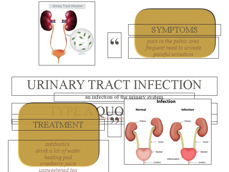 Urinary Tract Infection | PDF