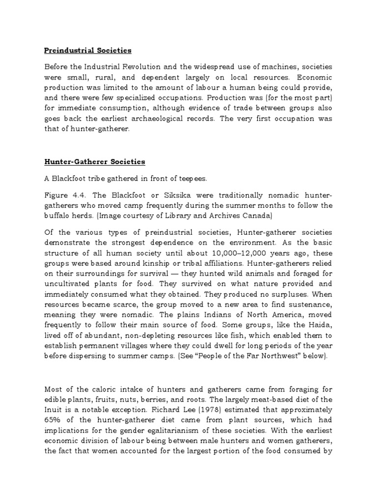 Hunter-Gatherer Societies Overview | PDF | Hunter Gatherer | Pastoralism