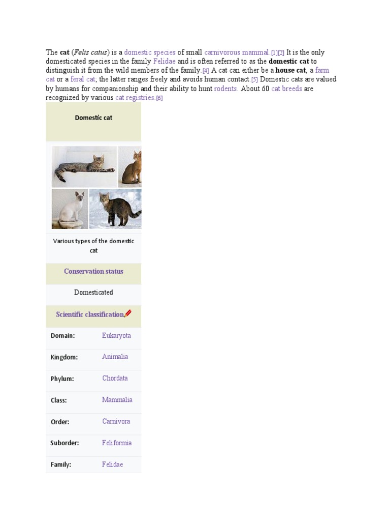 Domestic Species Carnivorous Mammal Felidae Farm Cat Feral Cat Rodents ...