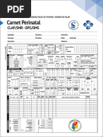 Carnet Perinatal | PDF | Parto | El embarazo