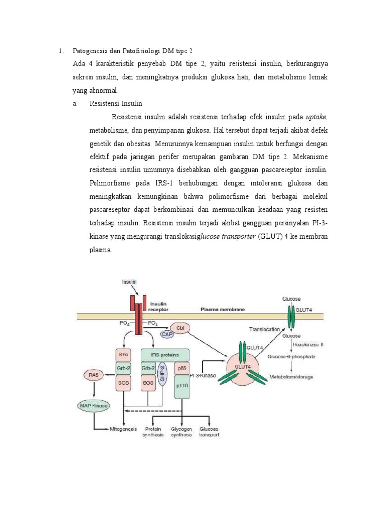 Patogenesis Dan Patofisiologi DM Tipe 2 Punya Alfi | PDF
