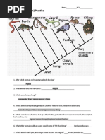 Integumentary System of Animals | PDF | Skin | Integumentary System