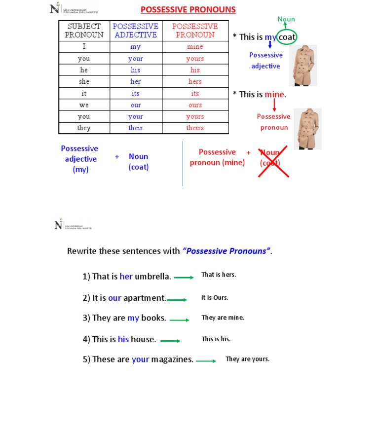 Possessive Pronouns Guide | PDF | Foreign Language Studies | General ...