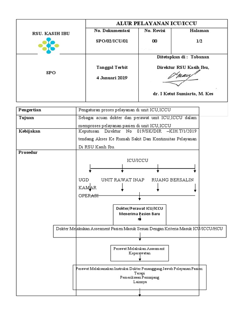 Spo Alur Pelayanan Icu, Iccu | PDF