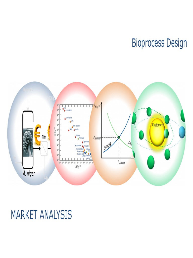 BPE-60312 Sept 2020 - MARKET ANALYSIS | PDF | Economies | Market ...