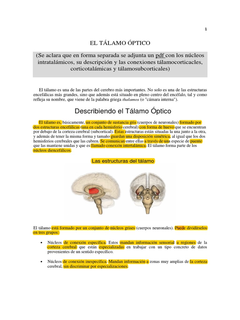 Tálamo Óptico | Descargar gratis PDF | Tálamo | Cerebro