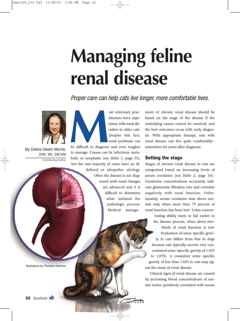 1 - 6 Managing Feline Renal Disease PDF | PDF | Renal Function ...