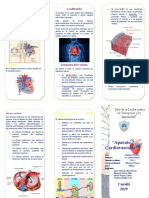 Función y Ubicación del Plexo Cardíaco | PDF