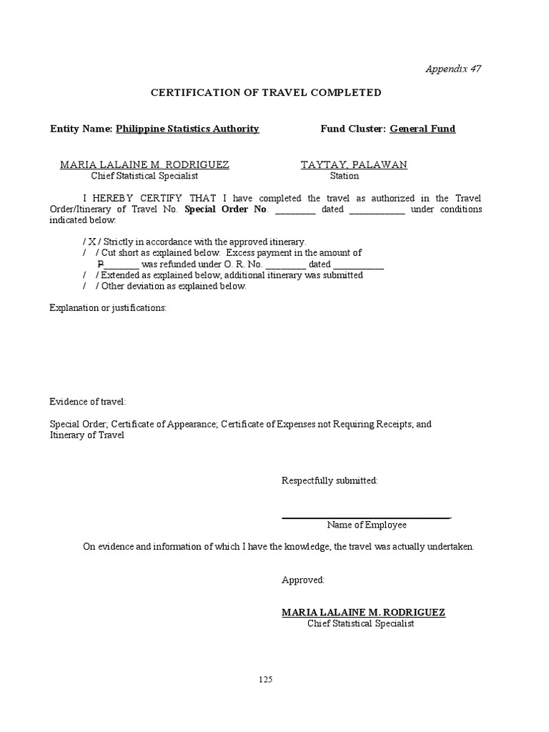 Travel Certification Appendix | PDF