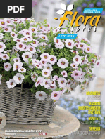 Ruze Topalovic Katalog | PDF