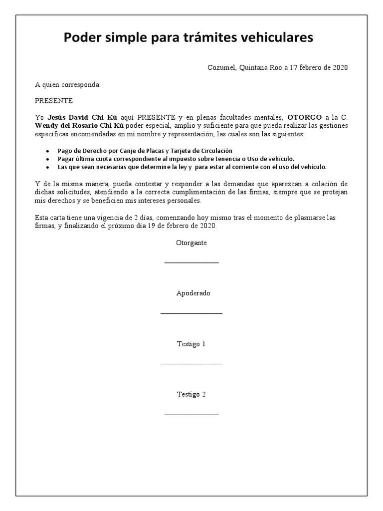 Poder Simple para Tramites Vehiculares | PDF