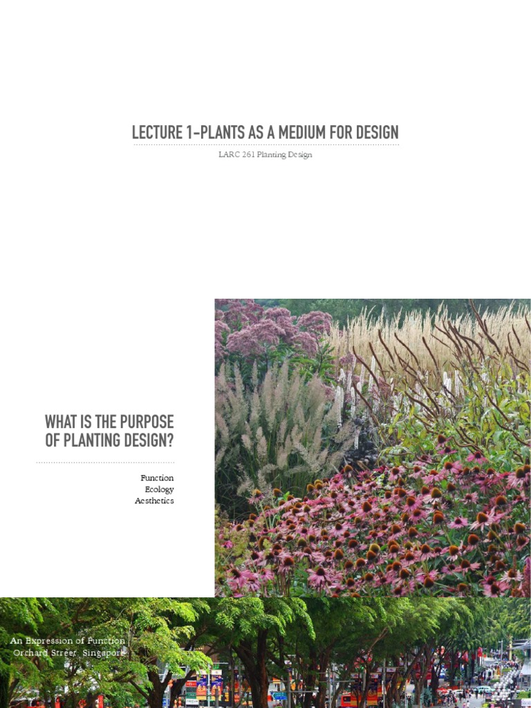 Lecture 1-Planting Design PDF | PDF | Pine | Trees