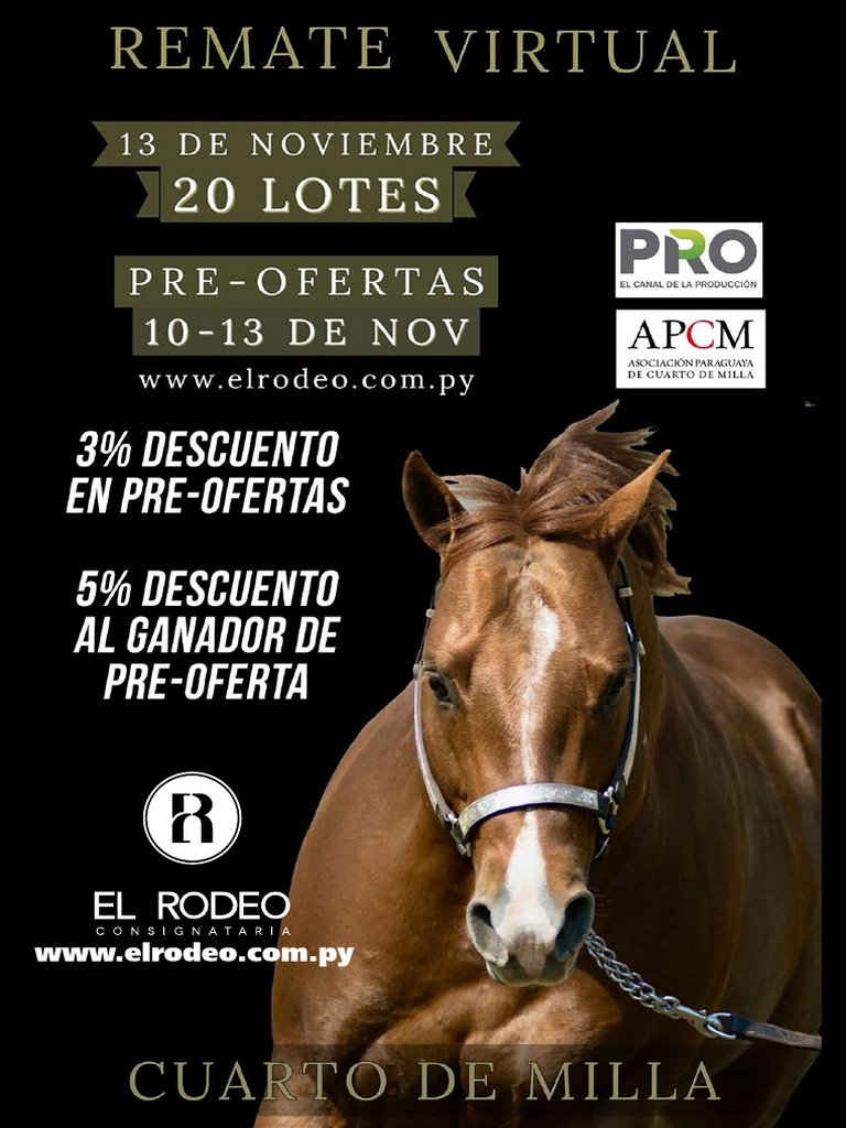 Cuarto de Milla Remate Virtual | PDF | Subasta | Ingresos