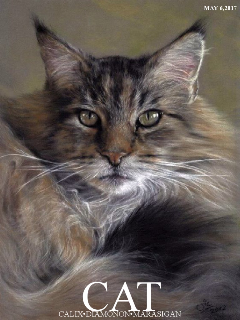 Cat Dissection Documentation Anatomy | PDF | Respiratory Tract | Small ...