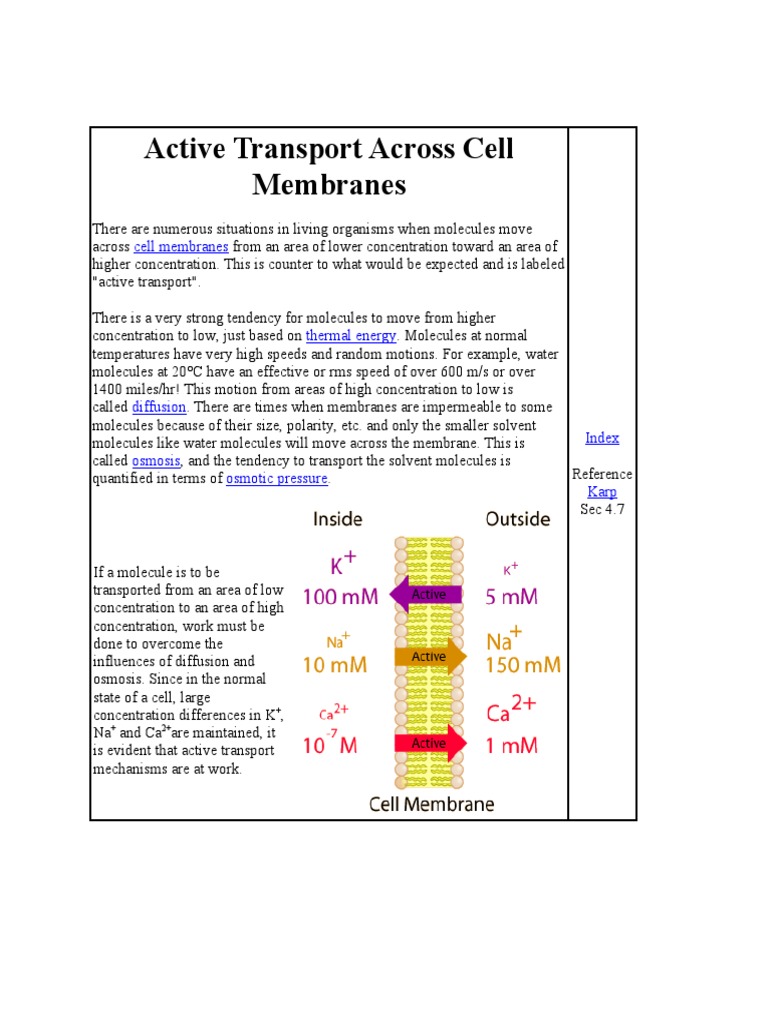 Active Transport Across Cell Membranes | PDF | Electron Transport Chain ...