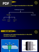 Metaneuron Manual | PDF | Inhibitory Postsynaptic Potential | Membrane ...