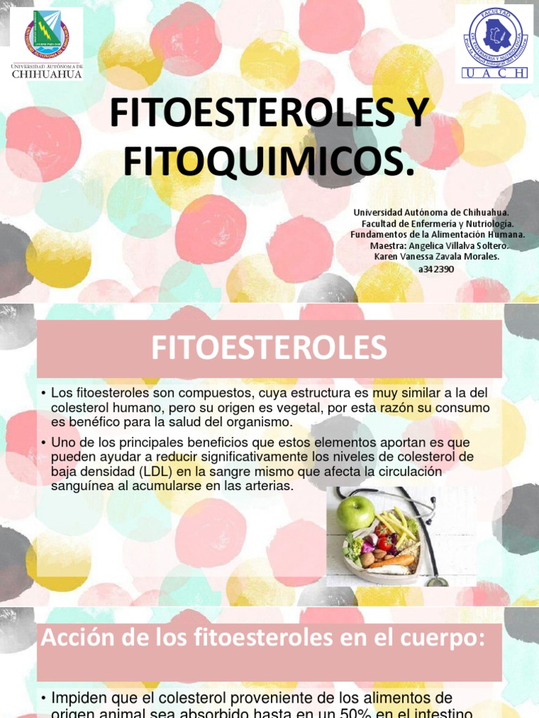 FITOESTEROLES Y FITOQUIMICOS Karen | PDF | Alimentos | Antioxidante