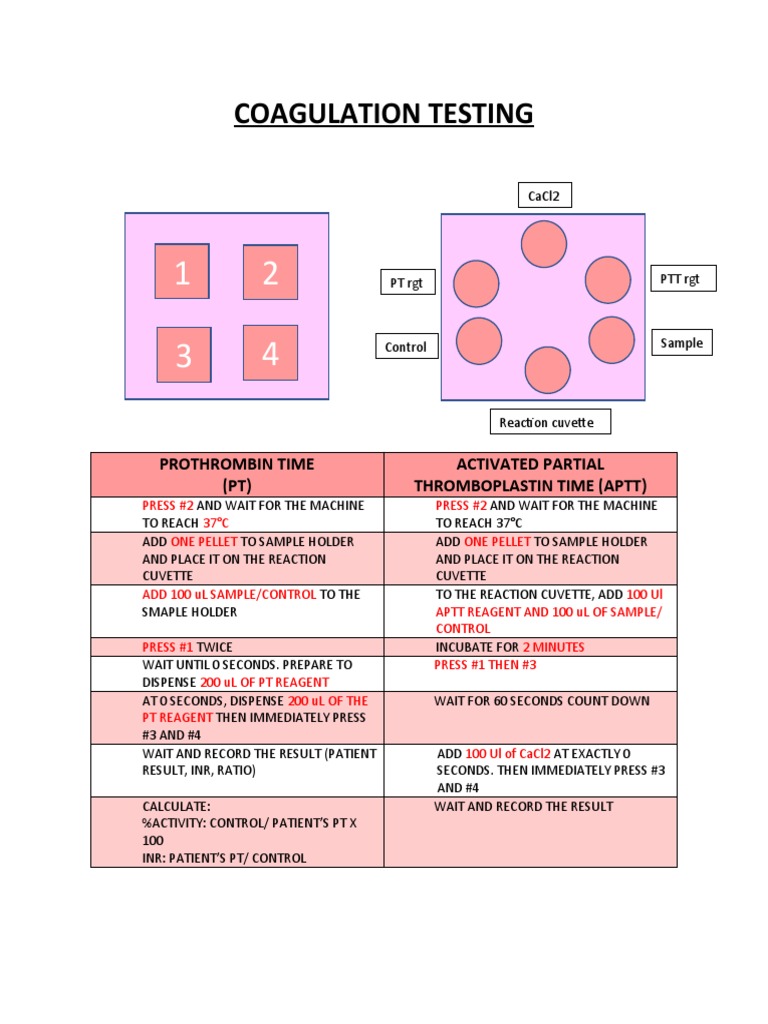 Coagulation Testing Procedure Guide | PDF