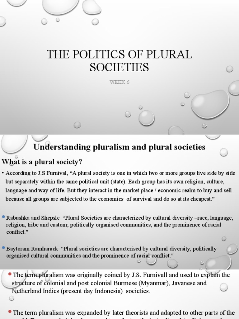 The Politics of Plural Societies | PDF | Political Science | Policy