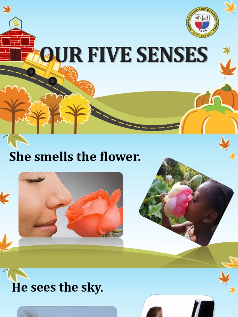 Our 5 Senses Conversation Topics Dialogs Fun Activities Games G - 75921 ...