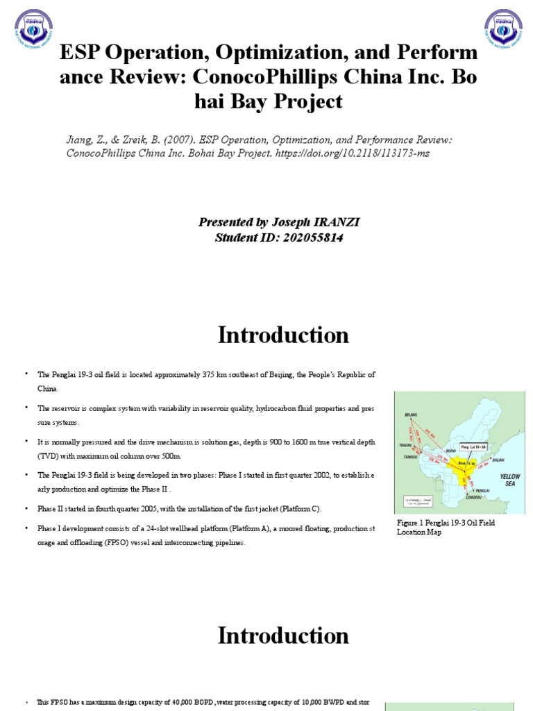 ESP Operation, Optimization, and Performance Review | PDF | Petroleum ...