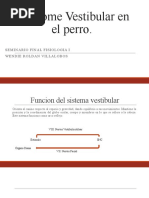 Tipos de Placenta en Animales | PDF | Placenta | Biología