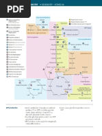 Biochemistry Unit Conversion | PDF | Magnesium | Carbon Dioxide