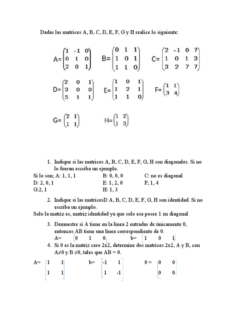 Ejercicio Matrices | PDF