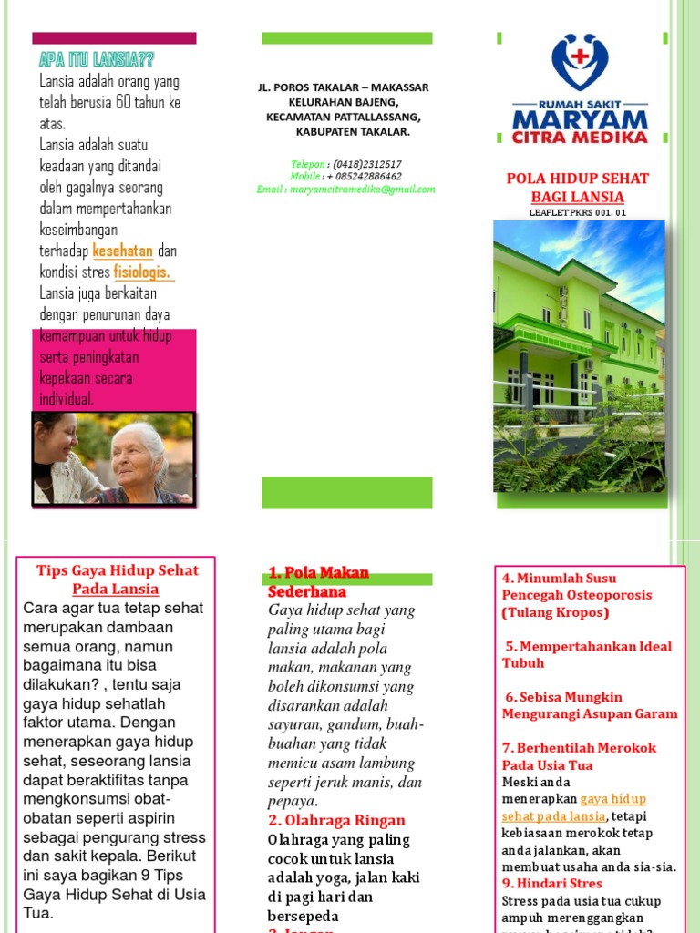 Leaflet Pola Hidup Sehat Lansia | PDF