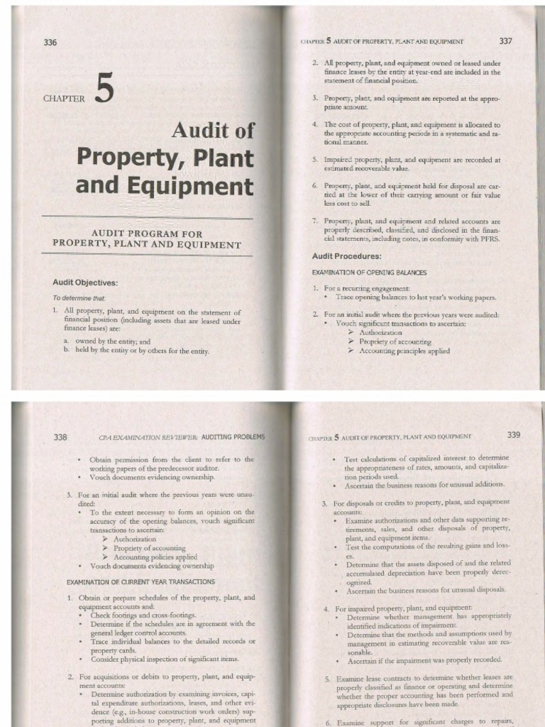 Auditing Problems Gerardo Roque (PPE1) | PDF