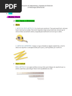 Instrumentos de Medición Indirecta | PDF | Medición | Óptica