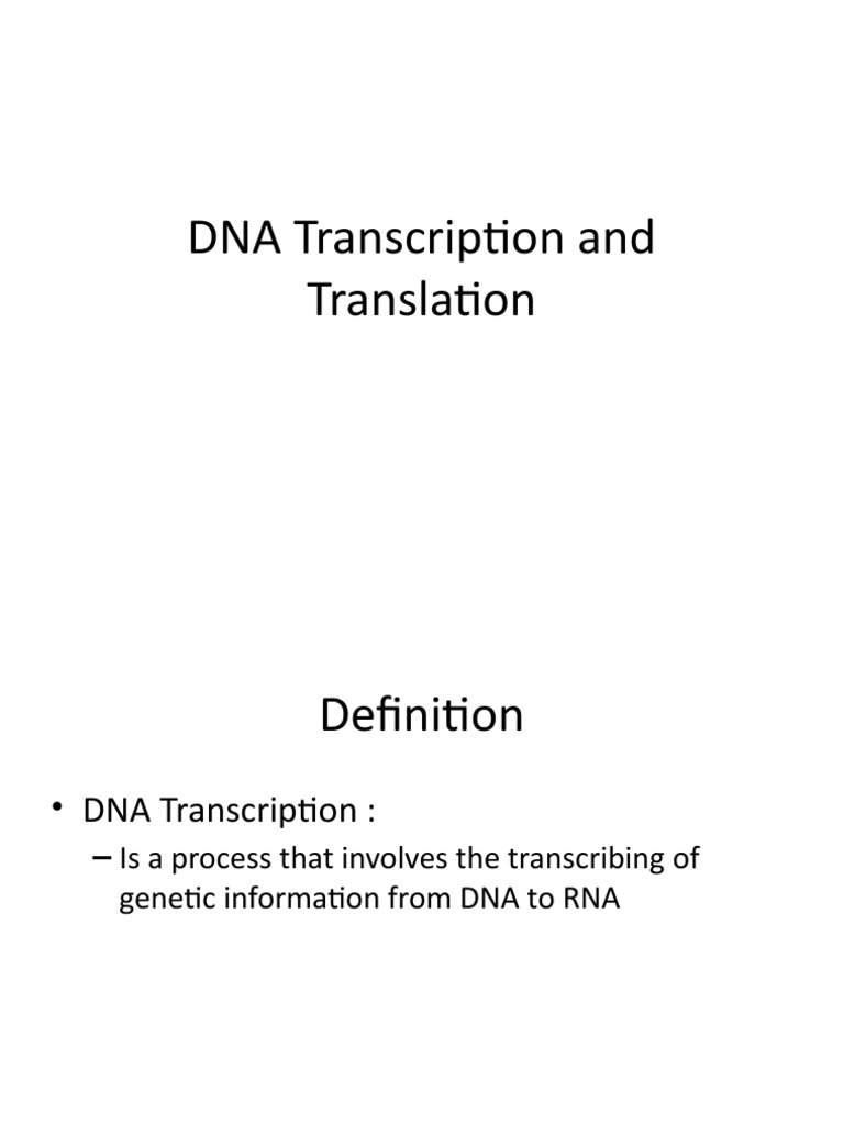 Transcript and Translate | PDF | Rna | Translation (Biology)