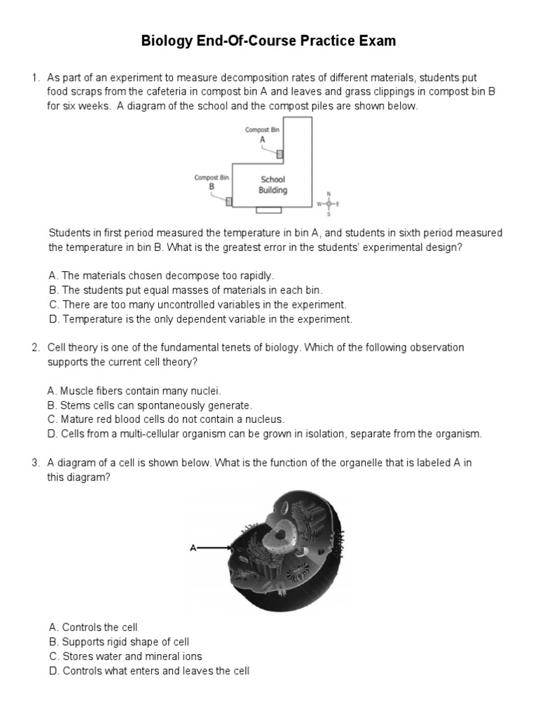 Biology End-Of-Course Practice Exam | PDF | Ploidy | Cellular Respiration