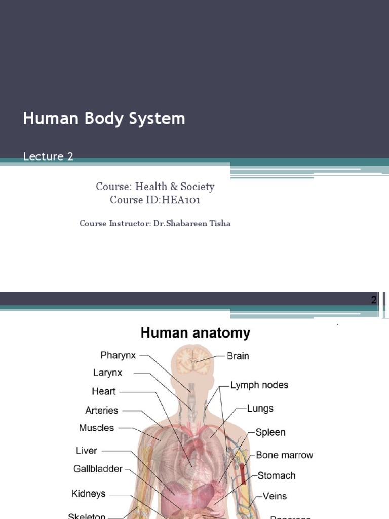 Important Health Guide | PDF | Human Body | Lymphatic System